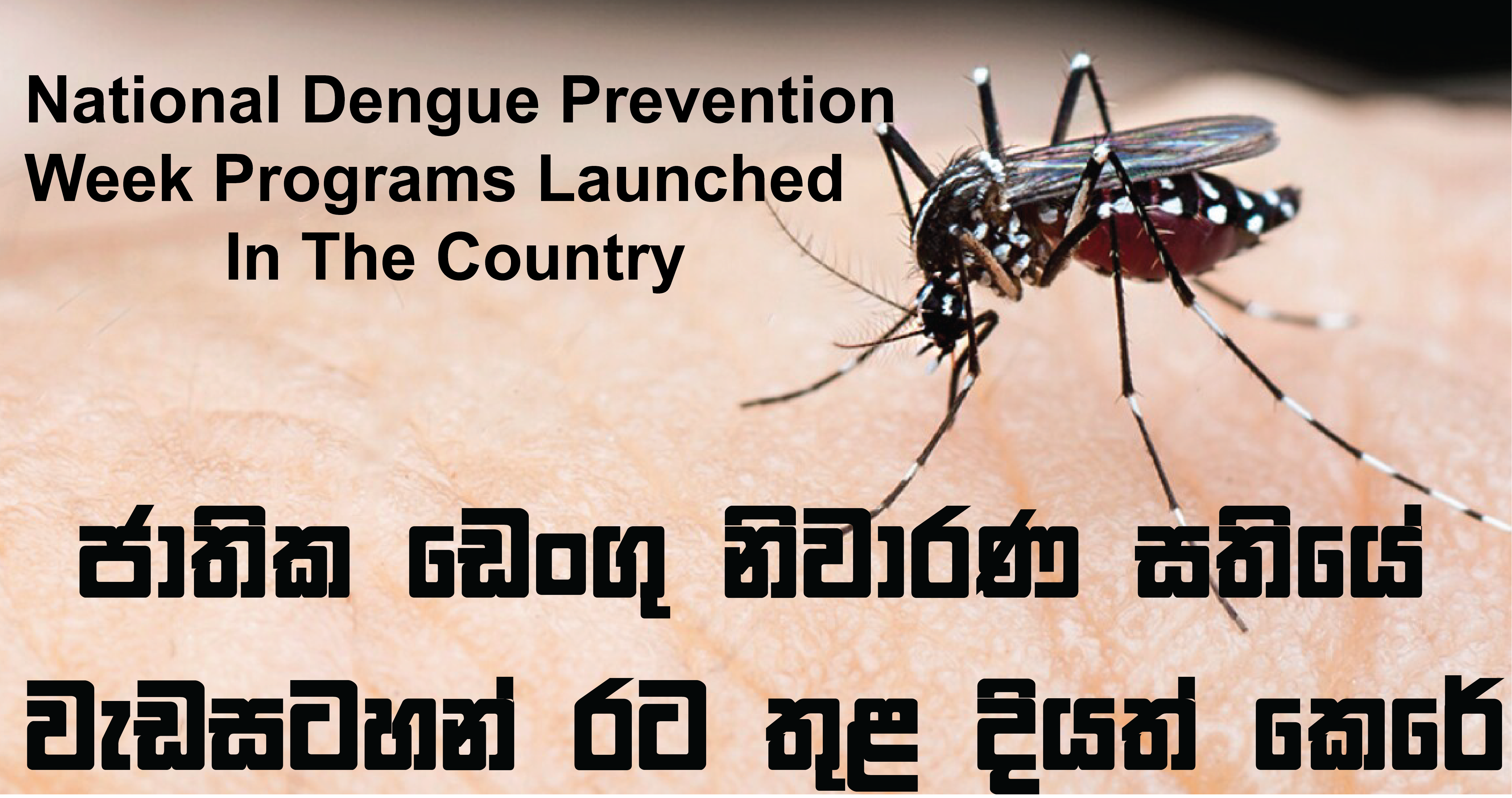 ජාතික ඩෙංගු නිවාරණ සතියේ වැඩසටහන් රට තුළ දියත් කෙරේ.